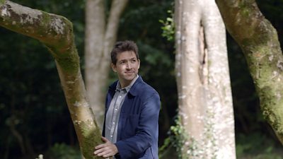 Forest, Field And Sky: Art Out Of Nature - Media Centre