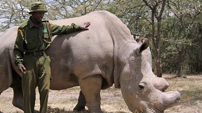 Ingenious Animals - Media Centre
