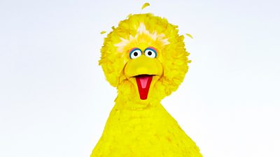 Big Bird - Media Centre