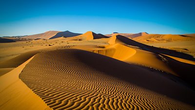 Deserts - Media Centre