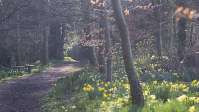 National Trust Sherborne Park Estate - Media Centre