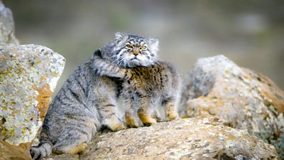 Episode Two - Media Centre