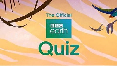 Now Blue Planet II fans can test their natural history knowledge using ...