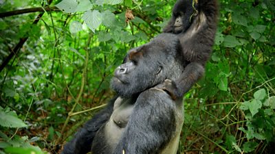 Q&A with Mike Gunton (Executive Producer) - Media Centre