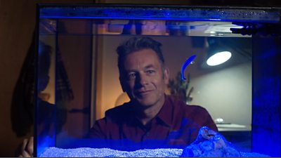 Chris Packham’s Animal Einsteins - Media Centre