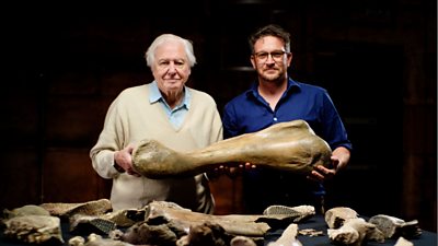 Attenborough And The Mammoth Graveyard - Media Centre