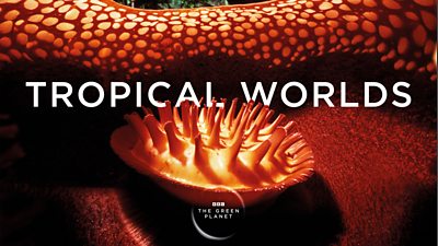 The Green Planet - Media Centre