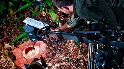 The Green Planet - Media Centre