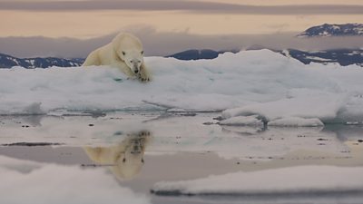 Frozen Planet II - Filming locations, wildlife and behind the scenes ...
