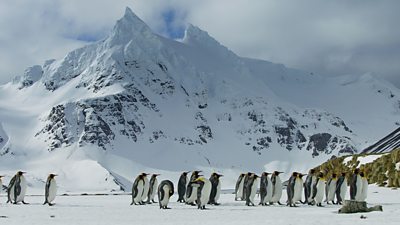 Frozen Planet II - Filming locations, wildlife and behind the scenes ...