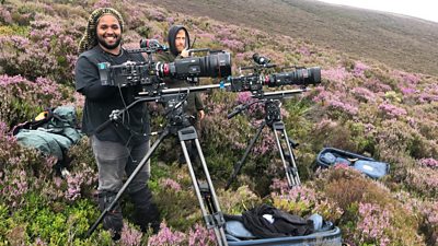 Wild Isles Episode 2 Woodland wildlife stories and filming locations ...