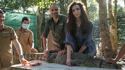 Our Changing Planet presenters reflect on the ambitious documentary ...