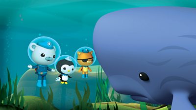 Octonauts - CBeebies - BBC