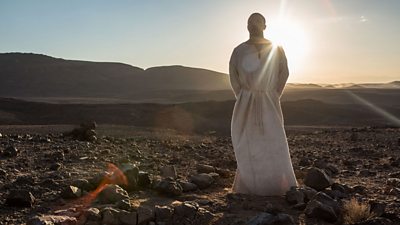 The Ark - Retelling The Bible story of Noah