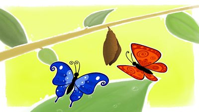 Melody - CBeebies - BBC