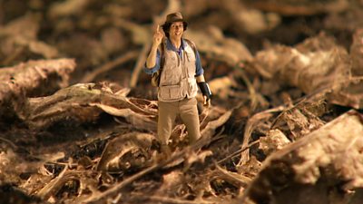 Andy's Prehistoric Adventures - CBeebies - BBC