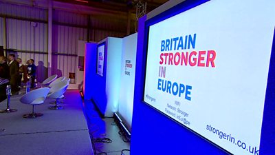 EU referendum: How did the Remain campaign lose? - BBC News