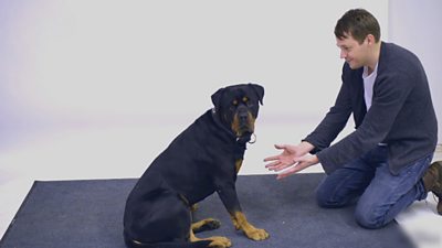 Now You See It - CBBC - BBC