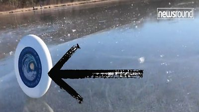 Freeze-bee just keeps on rolling!! - BBC Newsround