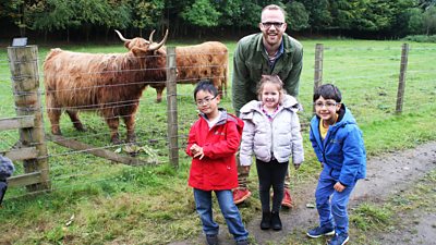 My Pet and Me - CBeebies - BBC