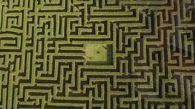 Can you solve the mystery of the a-maizing Wistow maze? - BBC News