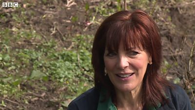 Tyne Tees presenter Pam Royle makes skin cancer plea - BBC News