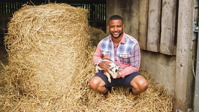 Down on the Farm - CBeebies - BBC