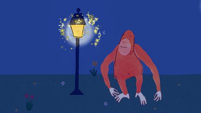 Pablo - CBeebies - BBC