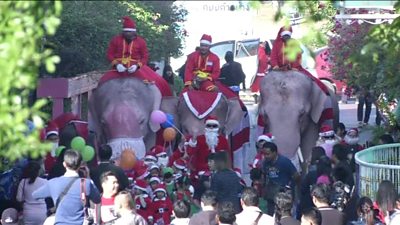 Elephants spread Christmas cheer to school kids - BBC Newsround