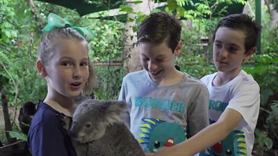 Australian kids explain Aboriginal culture - BBC Newsround