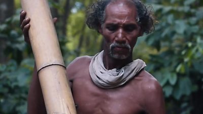 Who are the Sentinelese? - BBC News