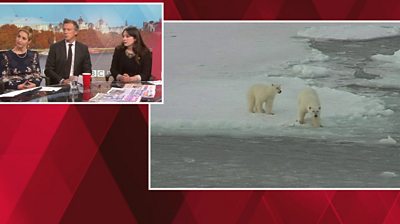 Reaction To David Attenborough Climate Change Warning Bbc News