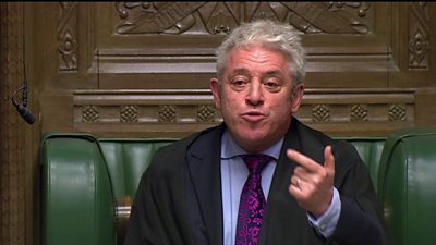 Order! Order! John Bercow's Brexit stardom across the EU - BBC News