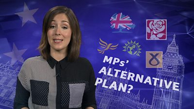 Brexit: What happens if MPs vote against May's deal - BBC News