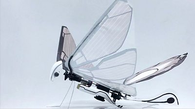 Insect inspired winged drone makes a buzz and other news - BBC News