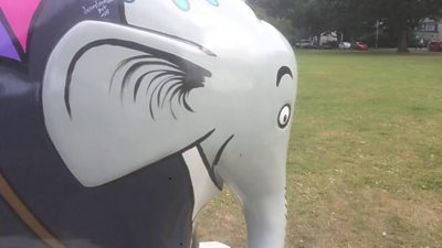 Elmer's Great North Parade takes over the North East - BBC News