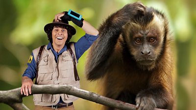 Andy's Safari Adventures - CBeebies - BBC
