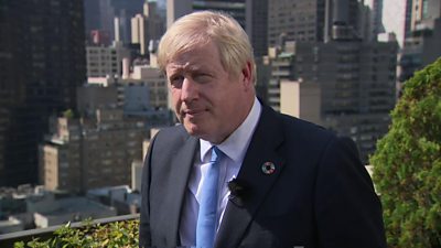 Did Mark Denning have a conflict of interest? - BBC News