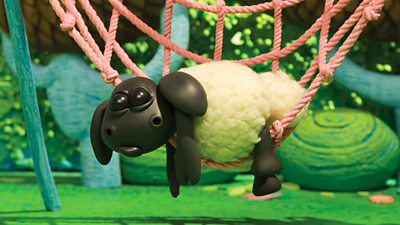 Timmy Time - CBeebies - BBC