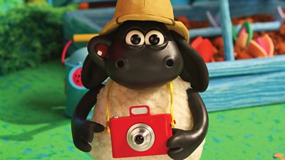 Timmy Time - CBeebies - BBC