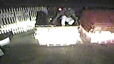 Man filmed climbing out of bin moments before it is emptied - BBC News