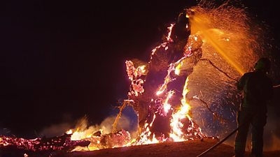Fire destroys 500-year-old 'magnificent' Malvern oak - BBC News
