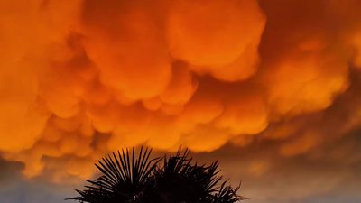 Stunning shelf cloud captured in Dorset before storm hit - BBC News