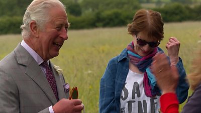Prince Charles: Video shows 'upside down' parachute jump - BBC News
