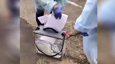 Russia election: Footage is alleged to show ballot stuffing - BBC News