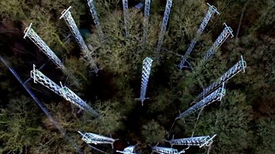 Staffordshire woodland in climate change experiment - BBC News
