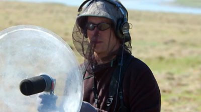 How sound recordist Martyn Stewart captures nature - BBC News