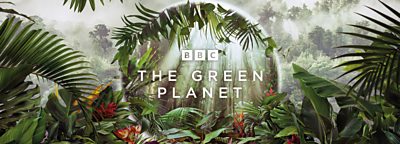 The Green Planet - Media Centre