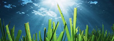 The Green Planet: Water Worlds - Media Centre