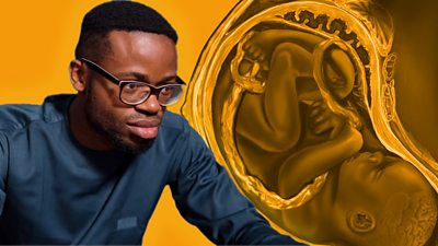 Chidiebere Ibe: Illustrator of black fetus to have art published in ...